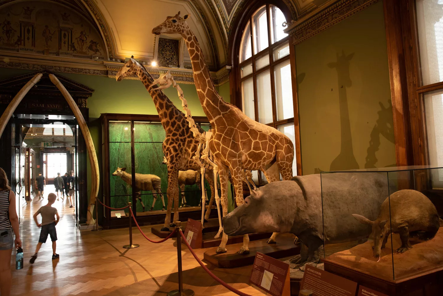 Viedeň: Prírodovedné múzeum očarí celú rodinu a zabaví na hodiny