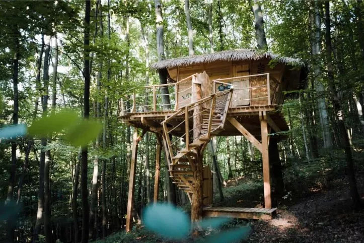Treehouse - Otv.hodiny, Cenník, Parkovanie, Mapa